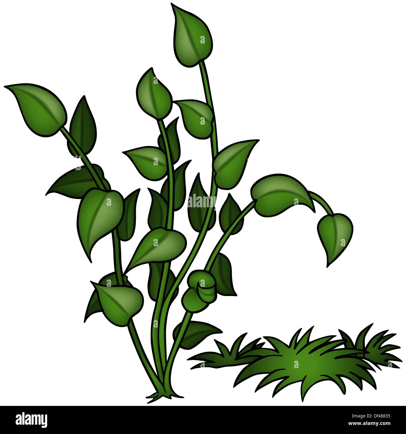 Tuft Stock Vector Images - Alamy