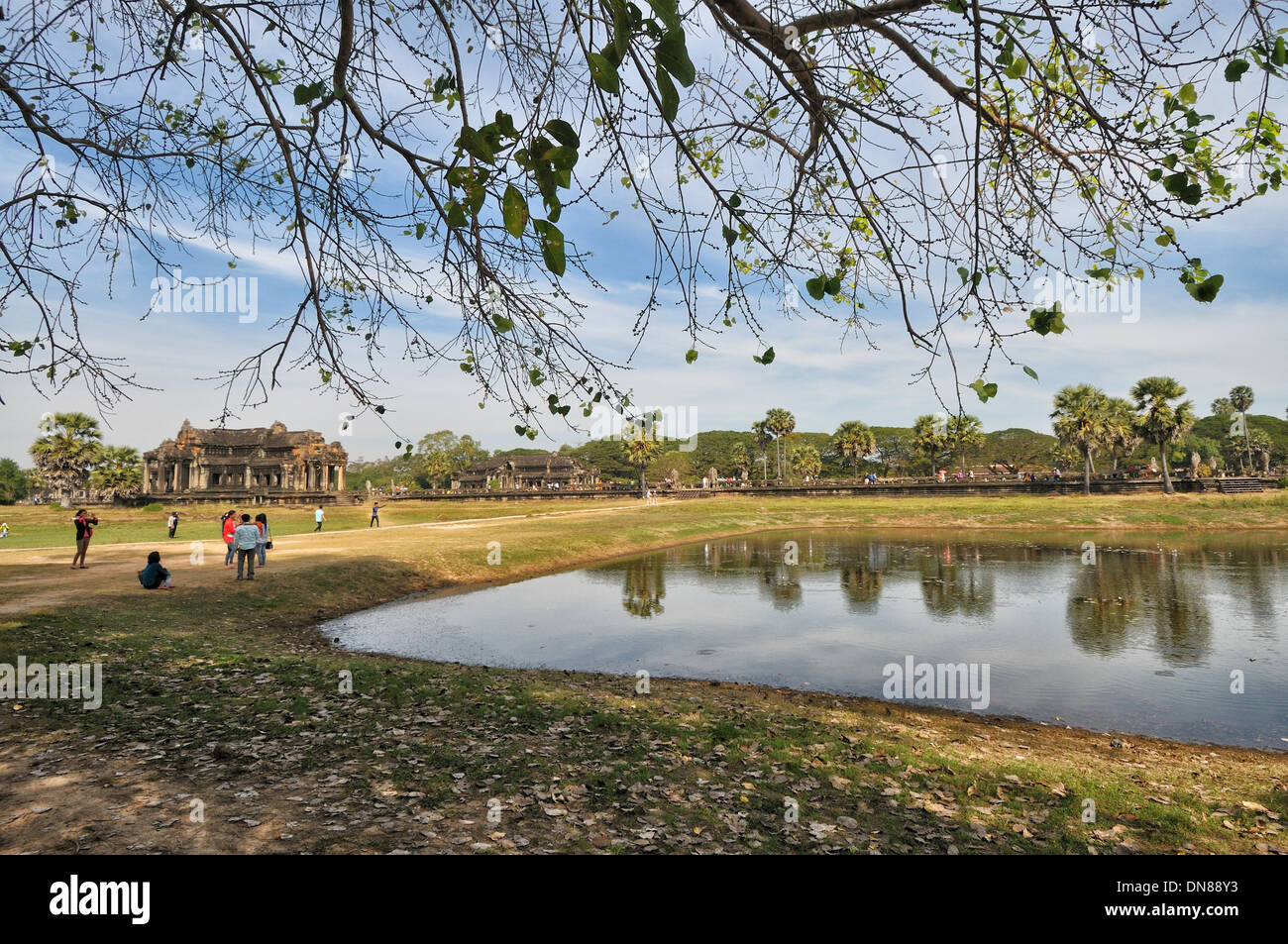 Reflective ponds hi-res stock photography and images - Alamy