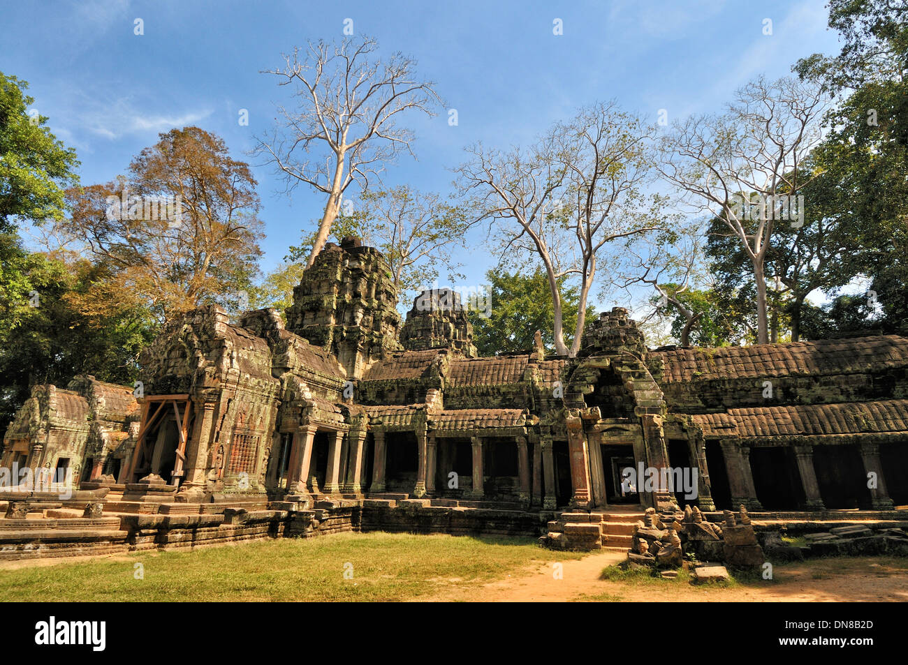 Ta prohm one popular hi-res stock photography and images - Alamy