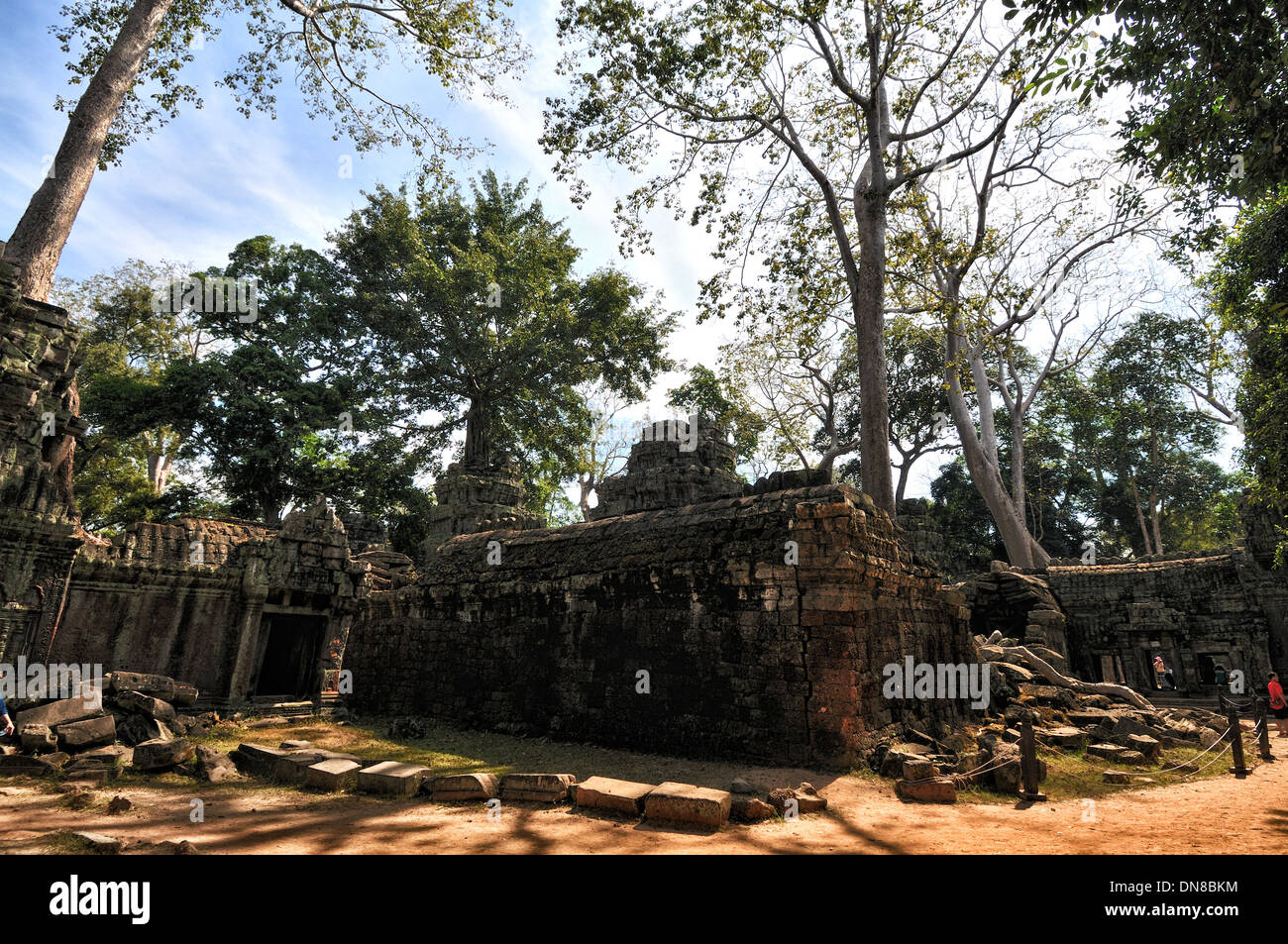 Inside Ta Prohm Stock Photo - Alamy