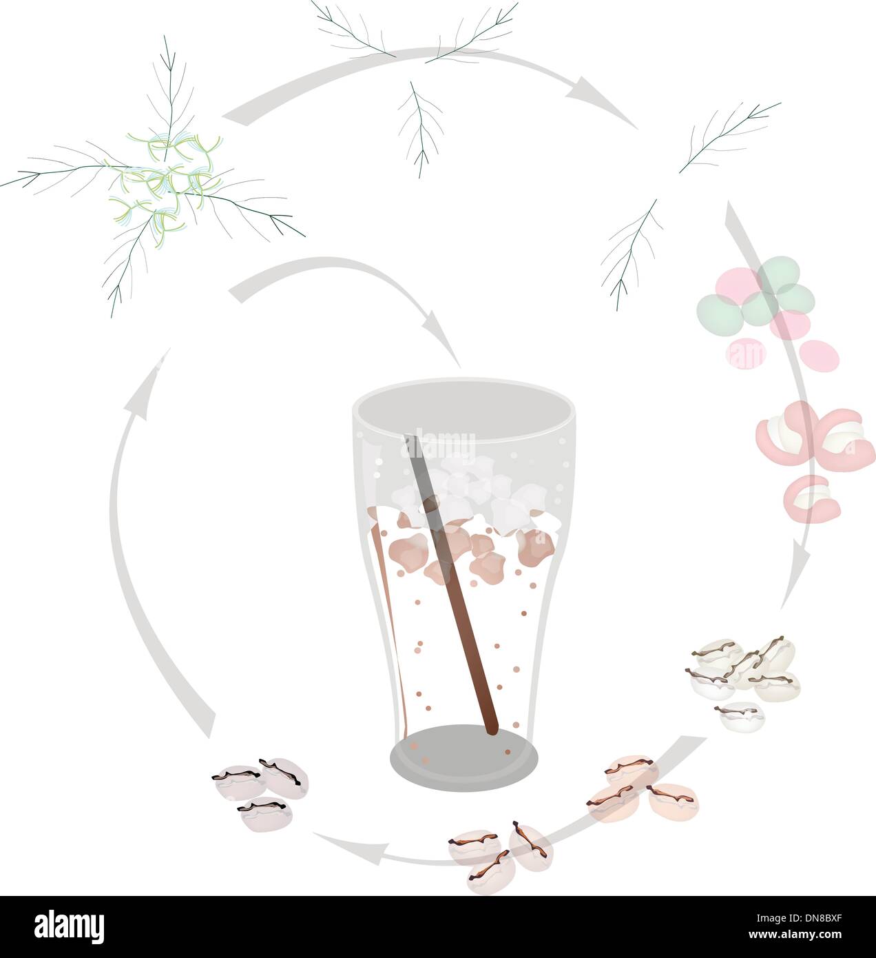 The Process of A Delicious Iced Coffee Stock Vector Image & Art - Alamy