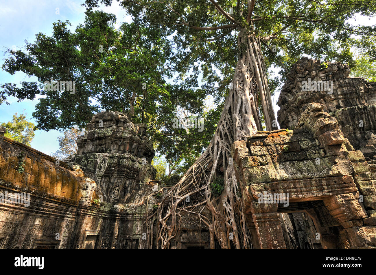 Ta Prohm is a beautiful temple, bound by massive roots of huge trees ...