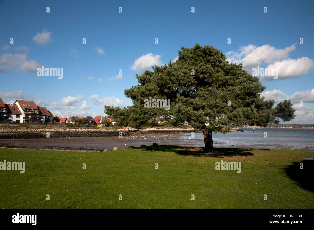 Hythe marina southampton hampshire england hi-res stock photography and ...