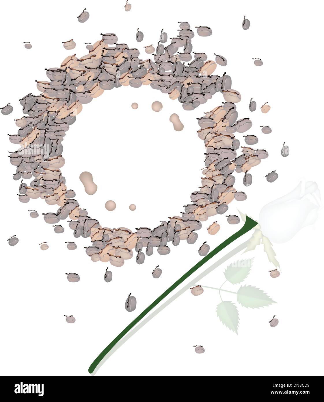 Rose coffee bean Stock Vector Images - Alamy