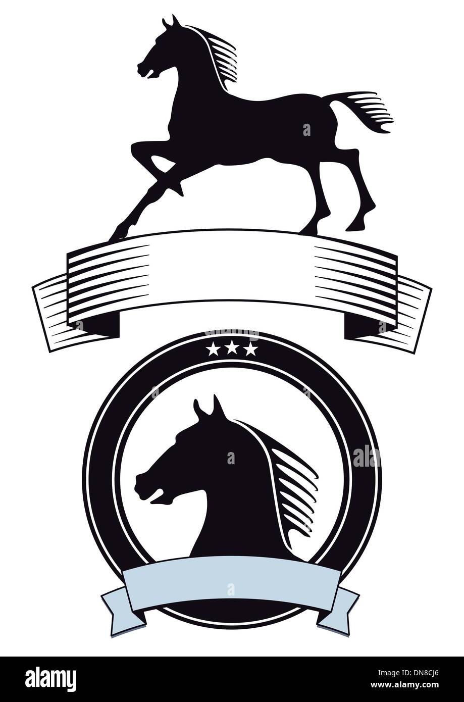 Saddle breed Cut Out Stock Images & Pictures - Alamy