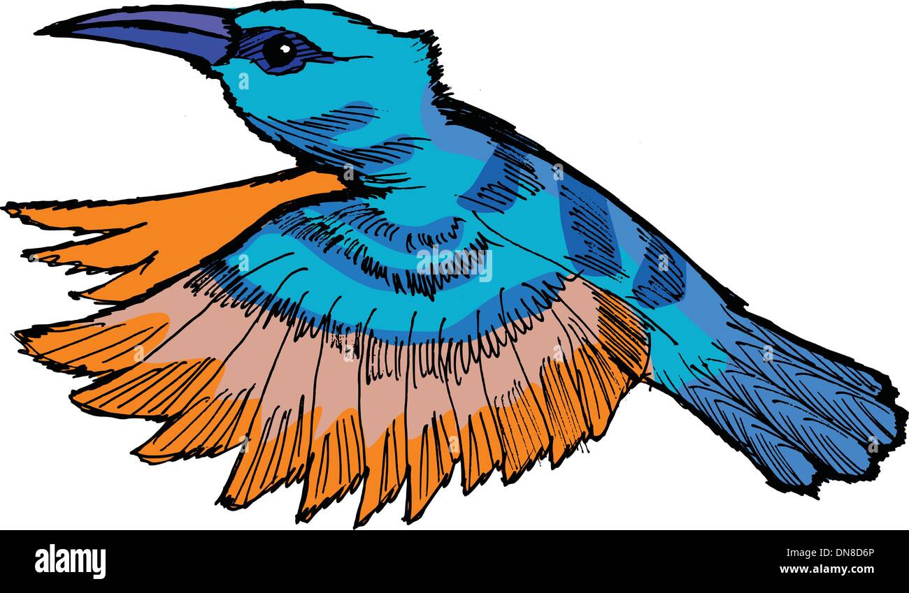 Hummingbird cartoon Stock Vector Images - Alamy
