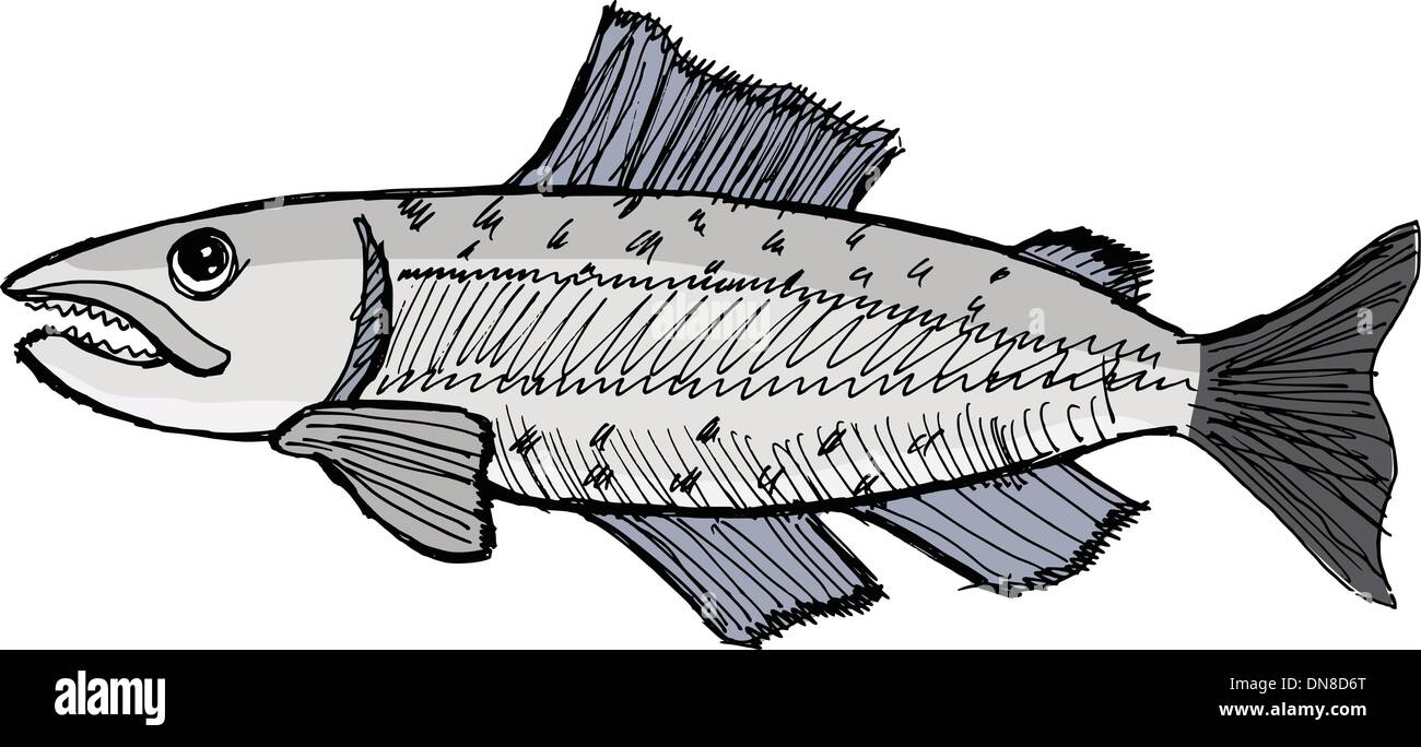 Salmon ocean Stock Vector Images - Alamy