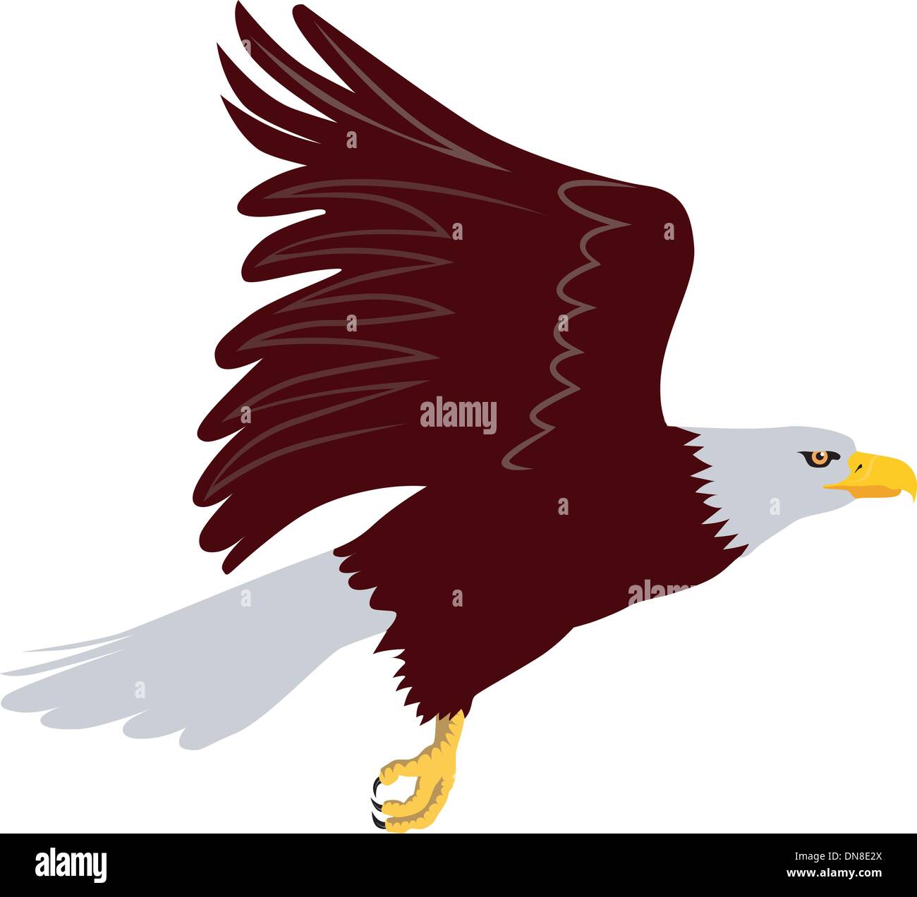 Bald Eagle Flying Stock Vector Image & Art - Alamy