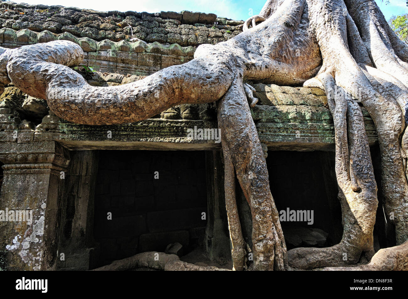 Running buddha hi-res stock photography and images - Alamy