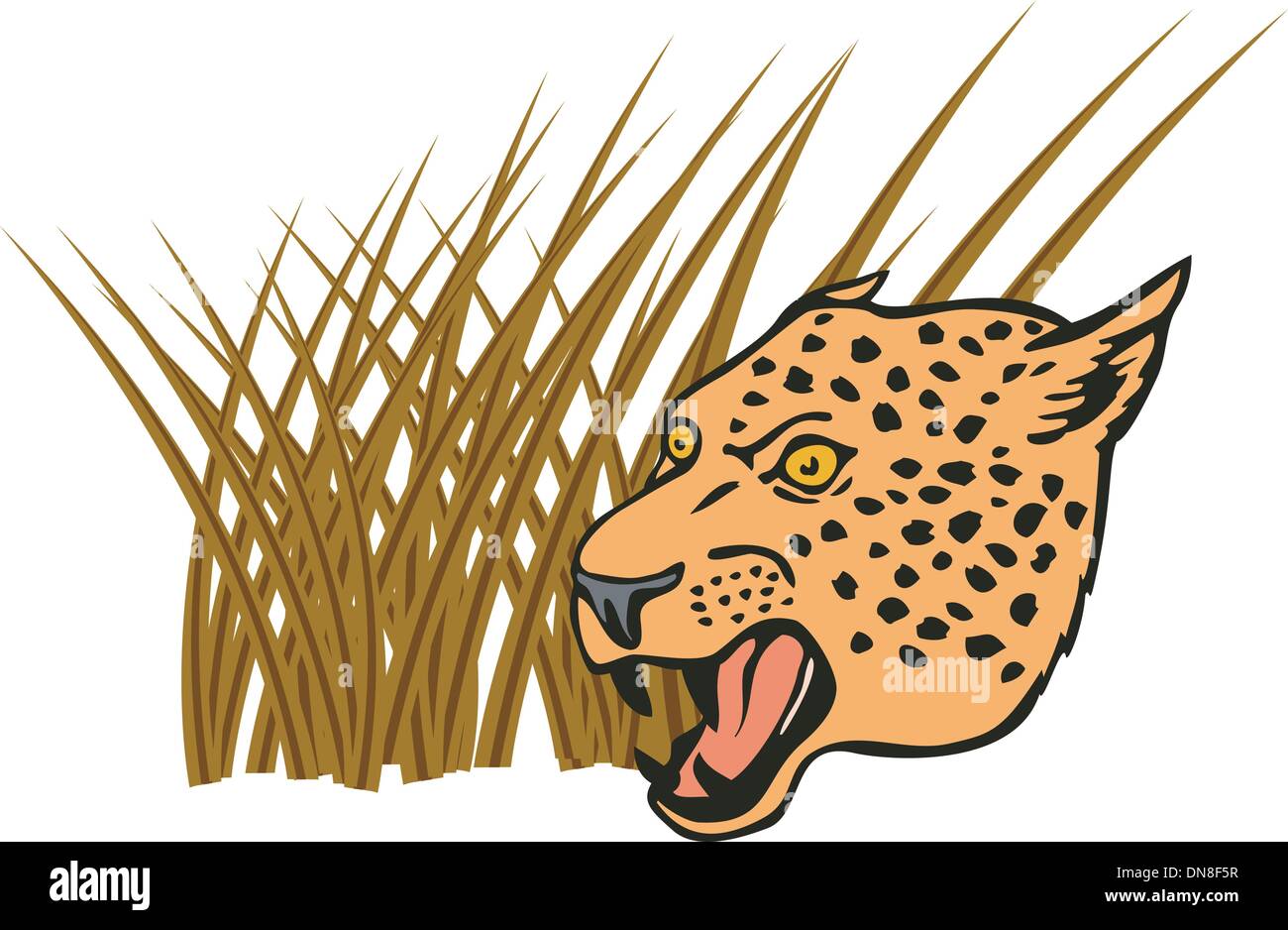 Head of leopard Stock Vector Images - Alamy