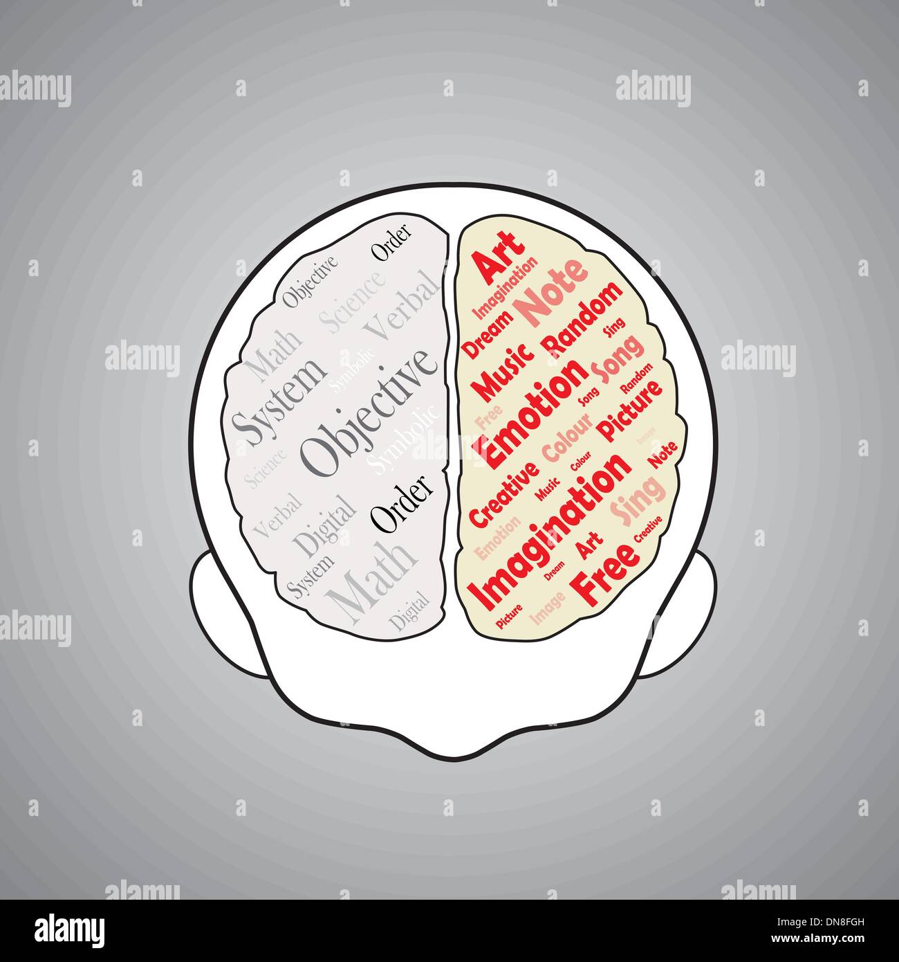 Brain Diagram Cortex High Resolution Stock Photography and Images - Alamy