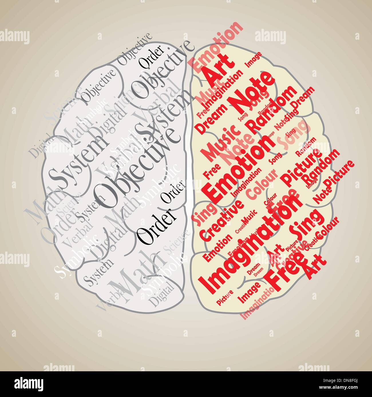 Left and Right brain Stock Vector Image & Art - Alamy
