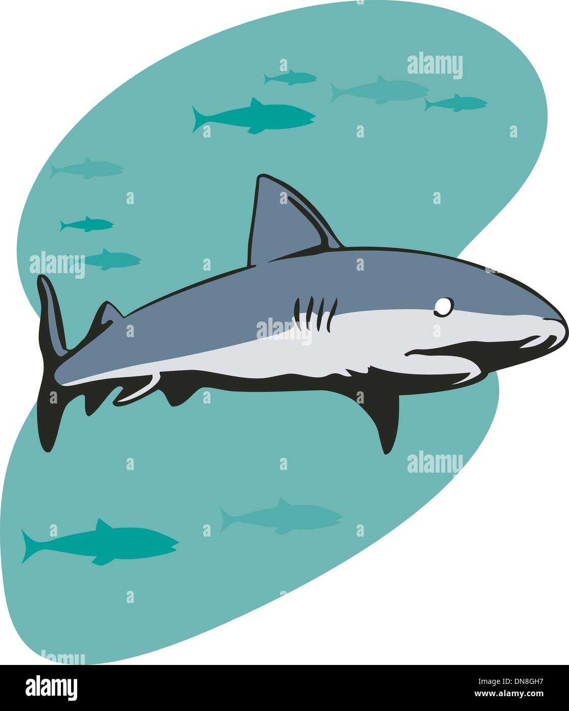 Shark Swimming Side View Stock Vector Image & Art - Alamy