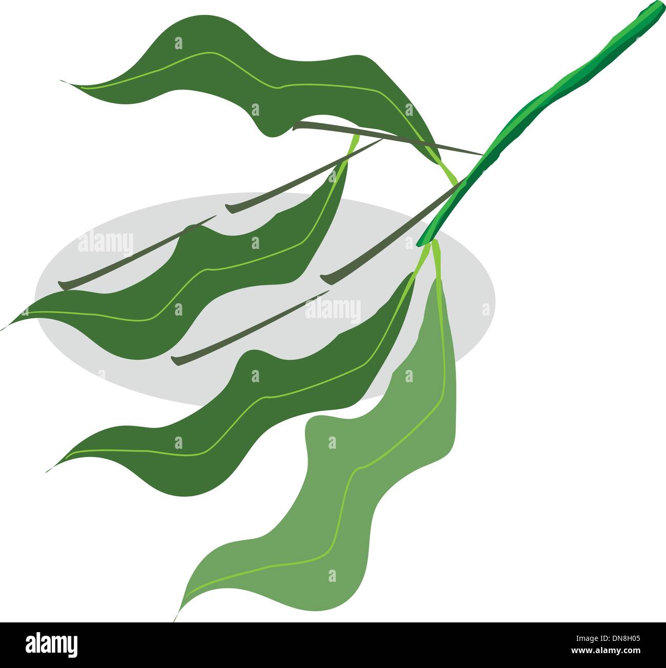 Three tropical fruit Stock Vector Images - Alamy