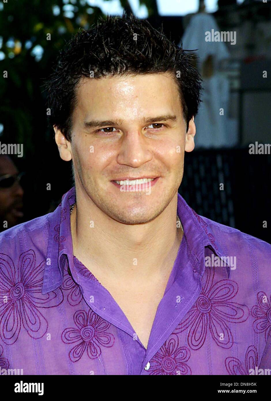 Ed powers hi-res stock photography and images - Alamy