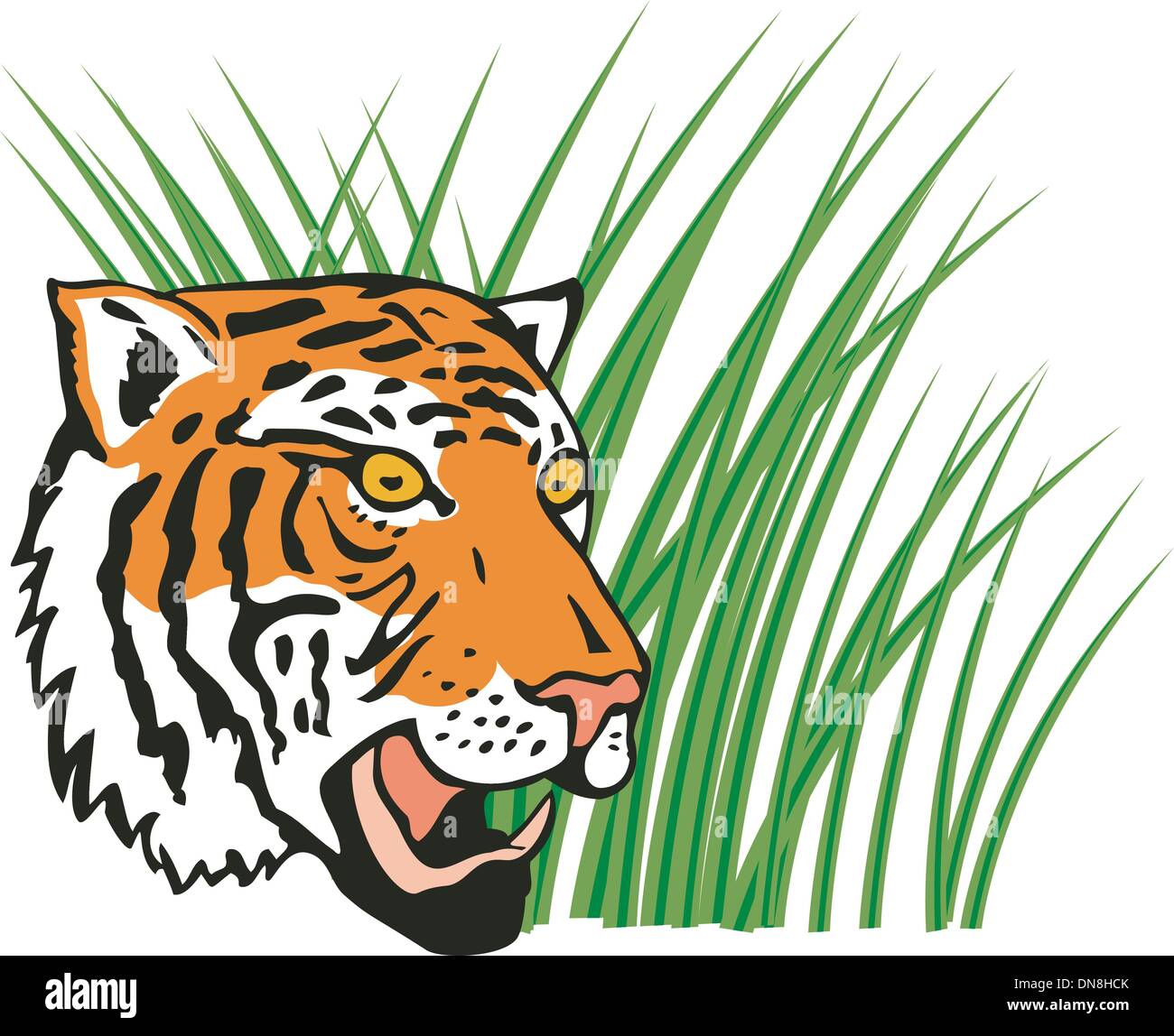 Long tiger Stock Vector Images - Alamy