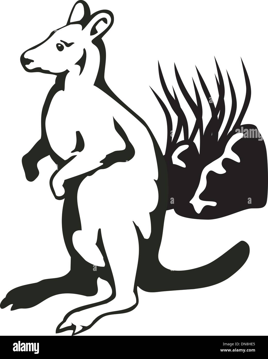 Wallaby Stock Vector Images - Alamy