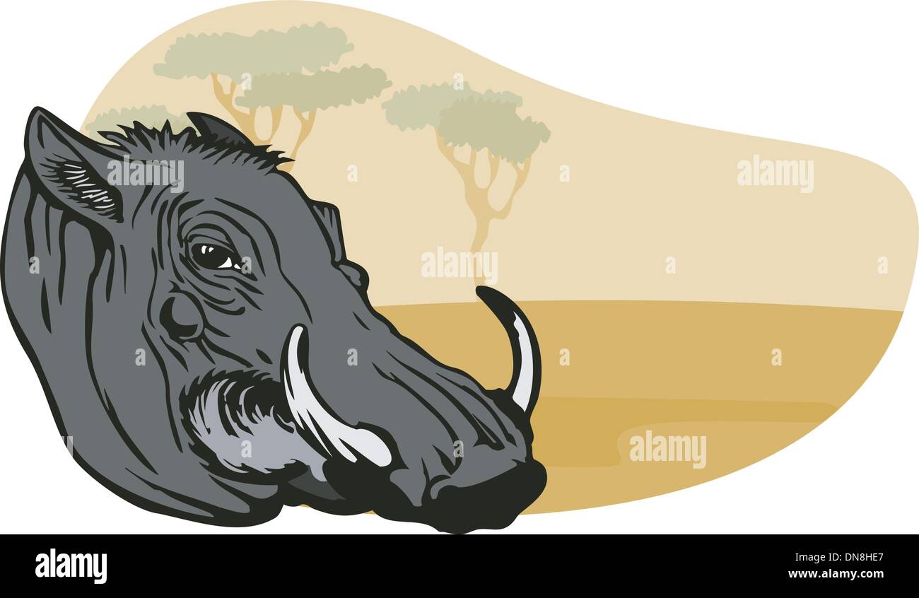Warthog illustration Stock Vector Images - Alamy