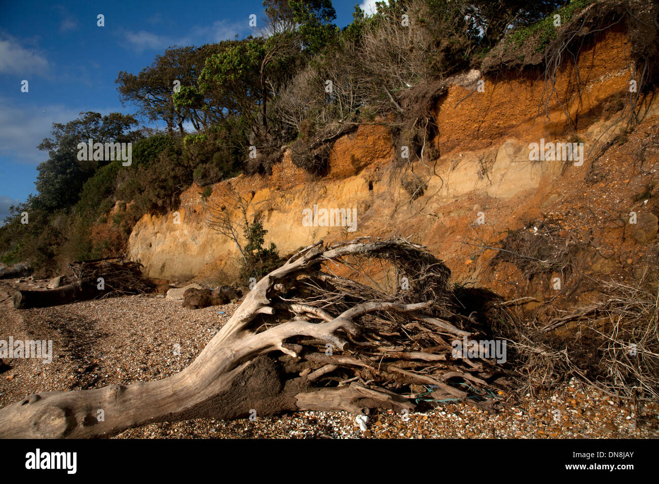 Netley and southampton water hi-res stock photography and images - Alamy
