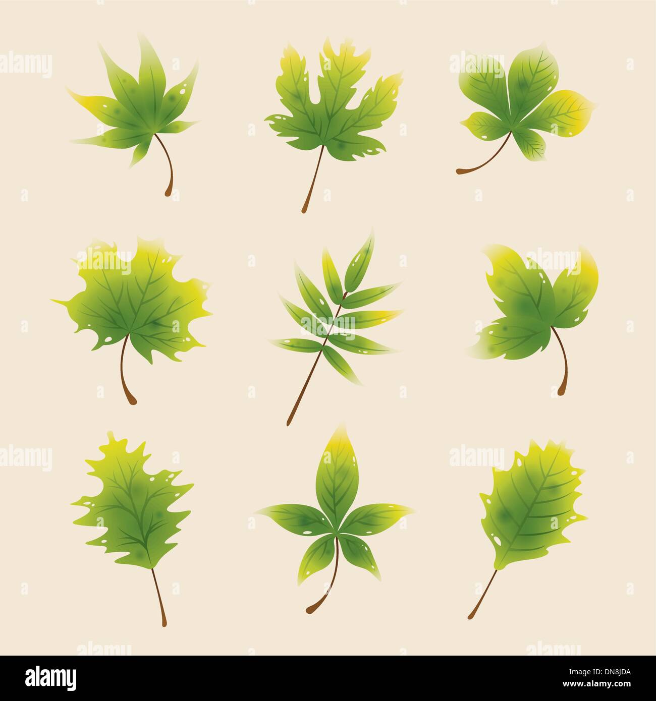 Painting maple Stock Vector Images - Alamy