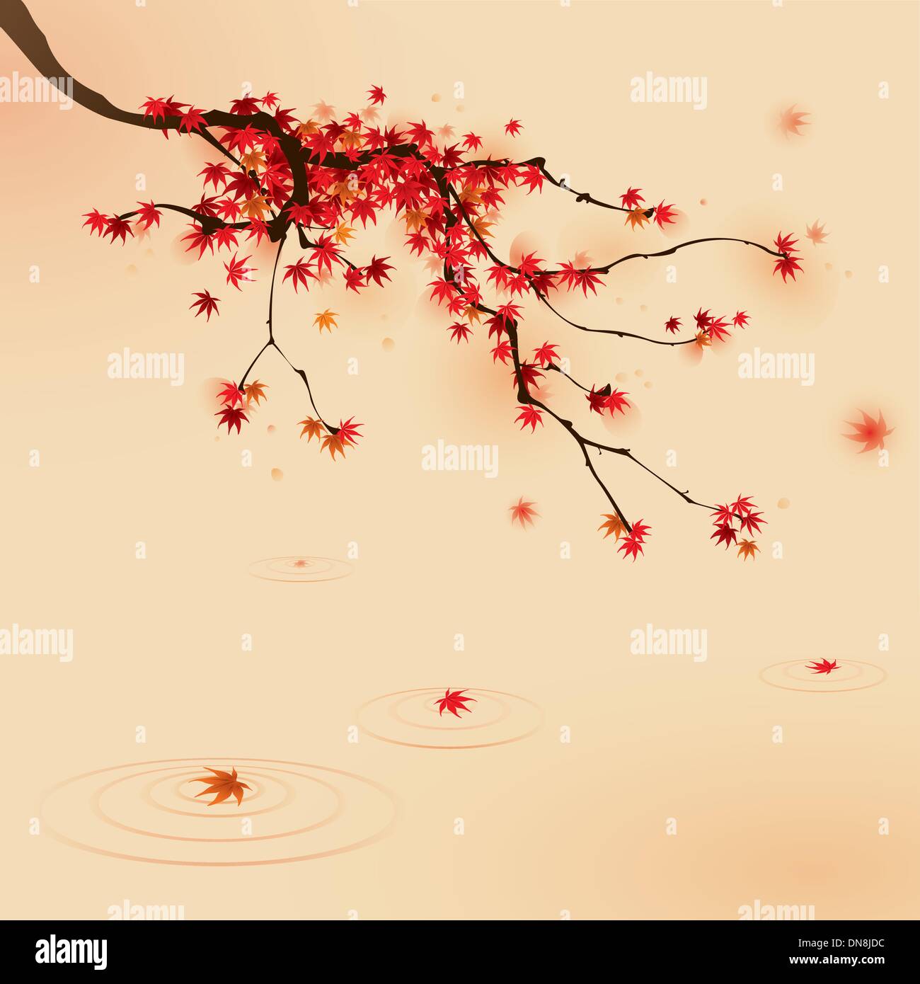Maple japanese Stock Vector Images - Alamy