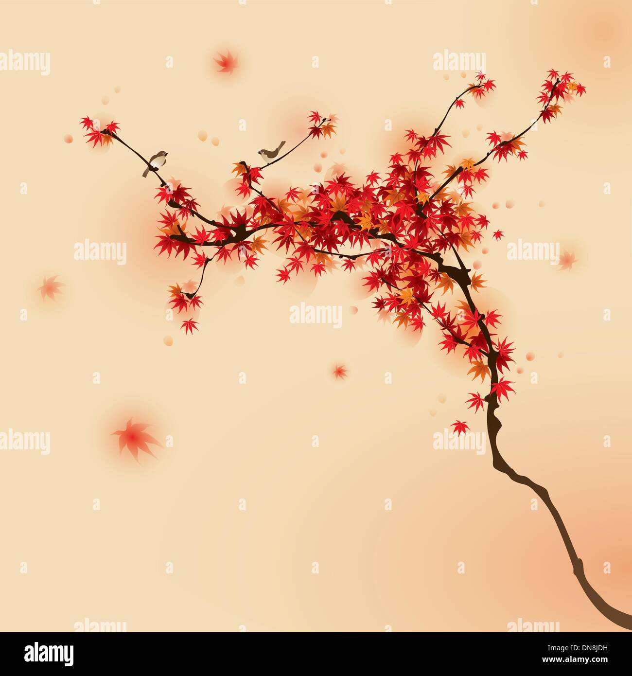 Beautiful tree in autumn Stock Vector Images - Alamy