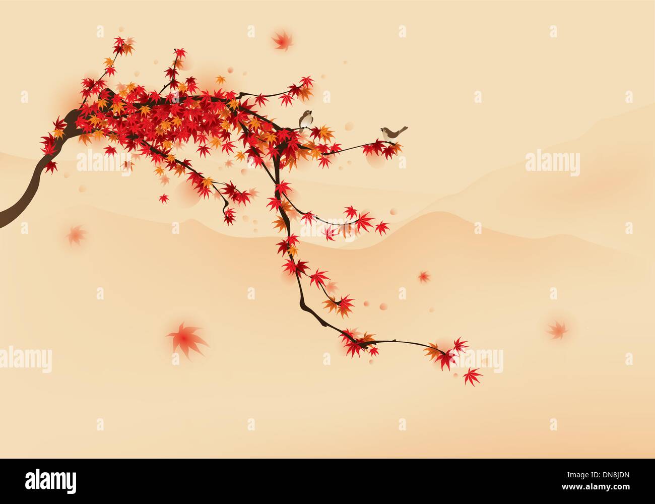 China maple Stock Vector Images - Alamy