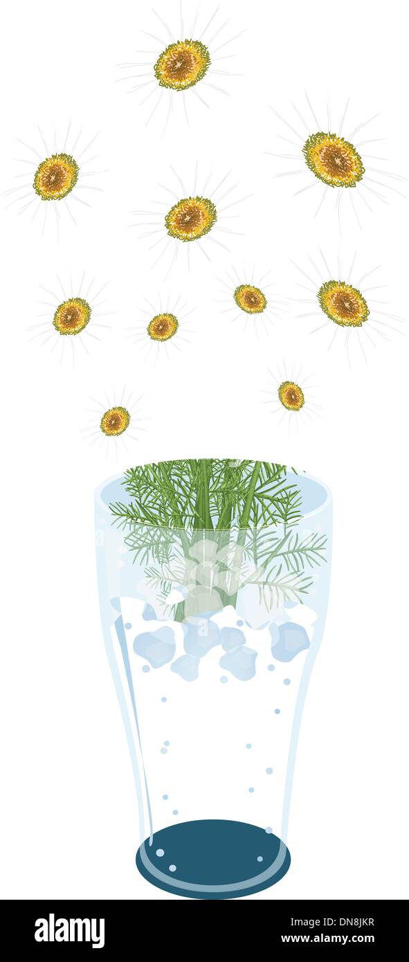 Bright white blossom in Stock Vector Images - Alamy