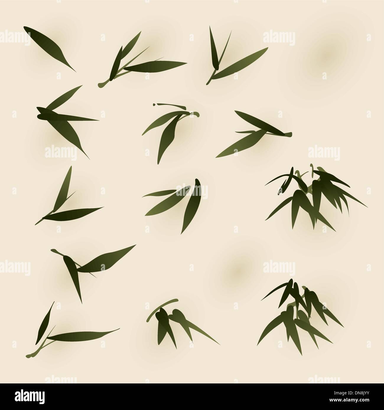 Green bamboo leaves nature Stock Vector Images - Alamy