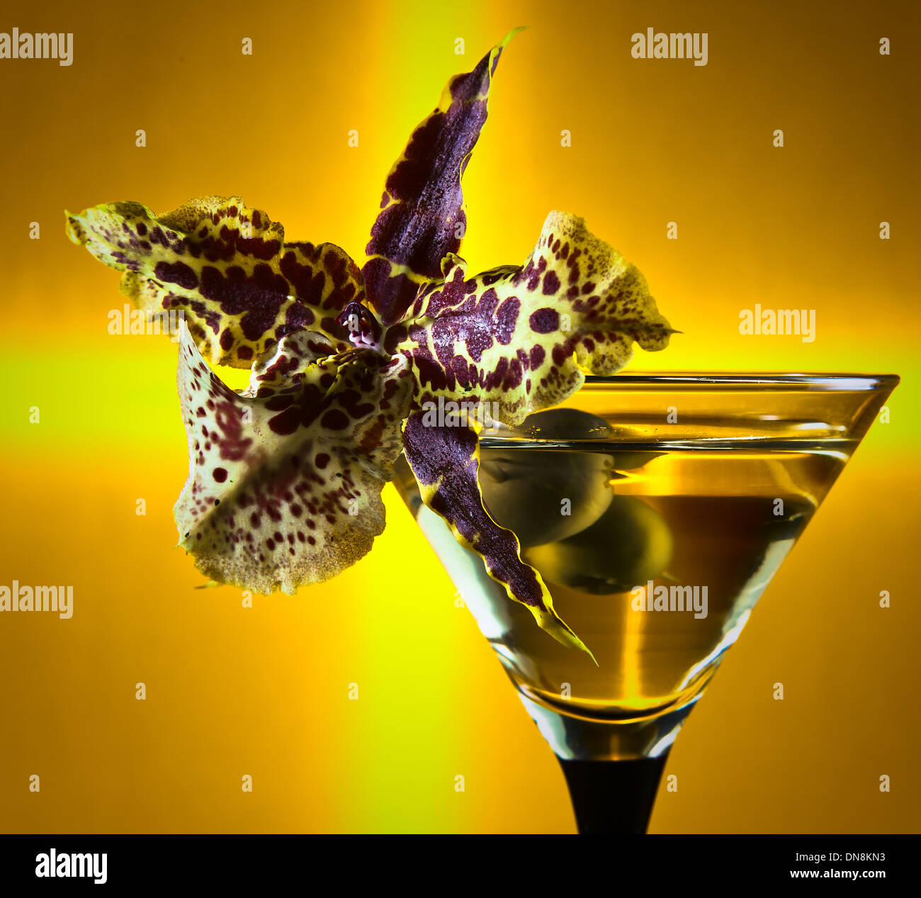 martini , green olives and orchid flower on yellow background Stock ...