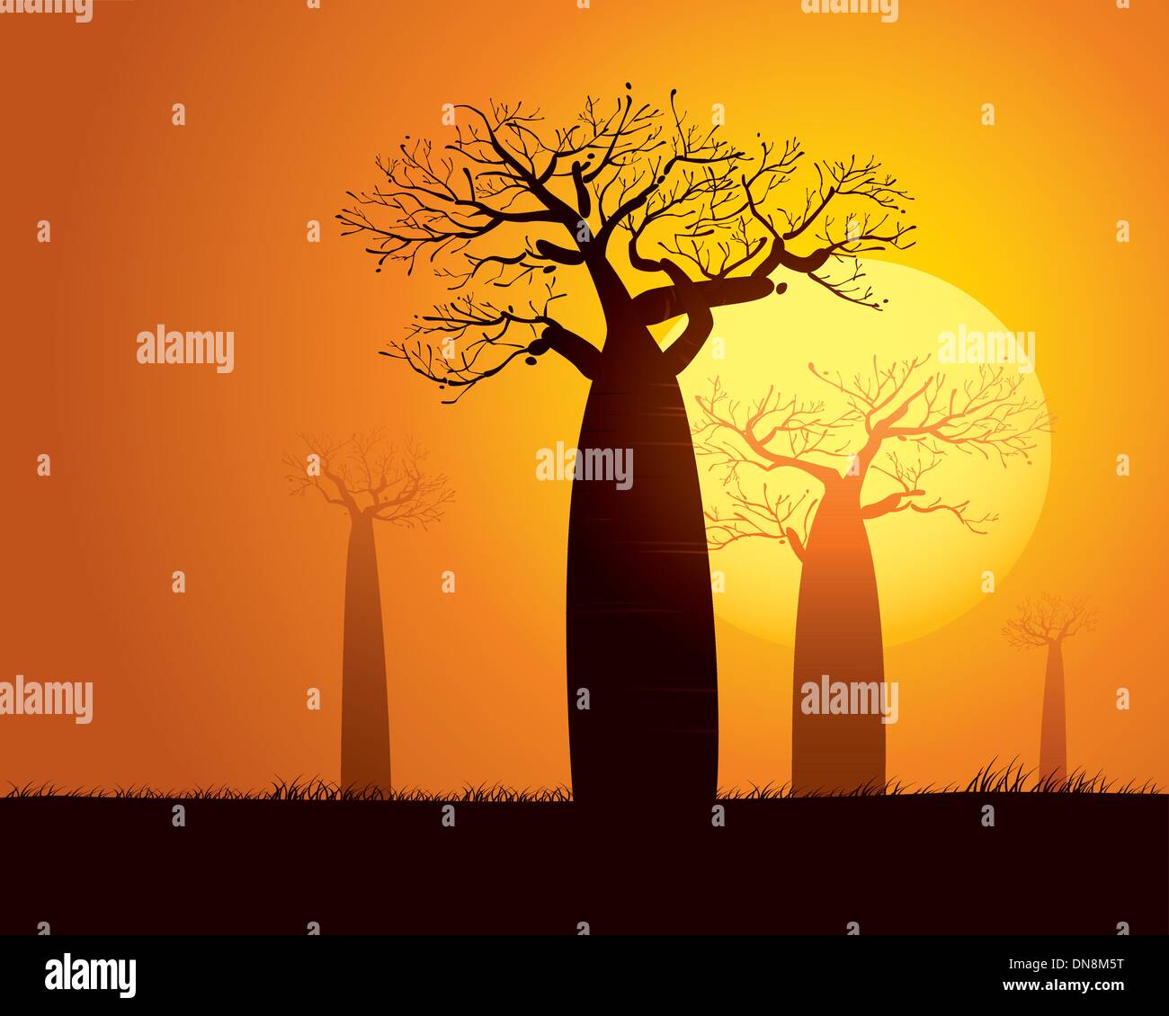 Baobab tree madagascar hi-res stock photography and images - Alamy