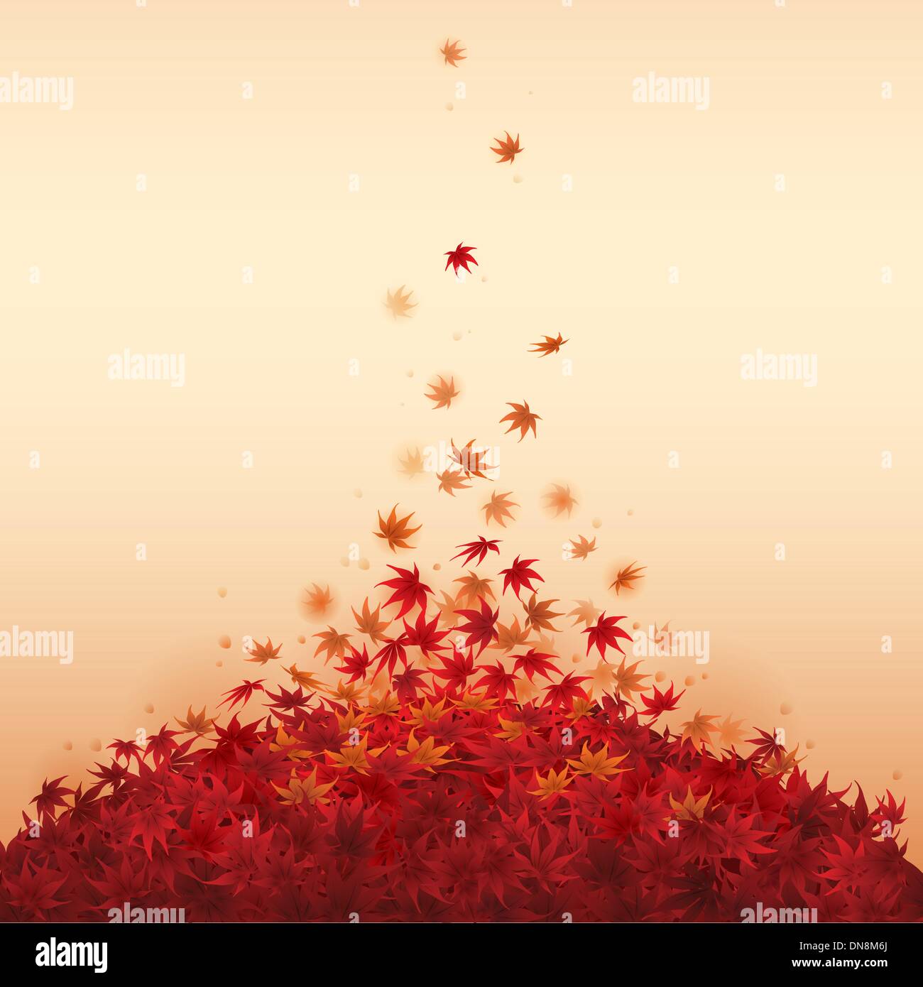 Beautiful maple leaves in autumn Stock Vector Images - Alamy