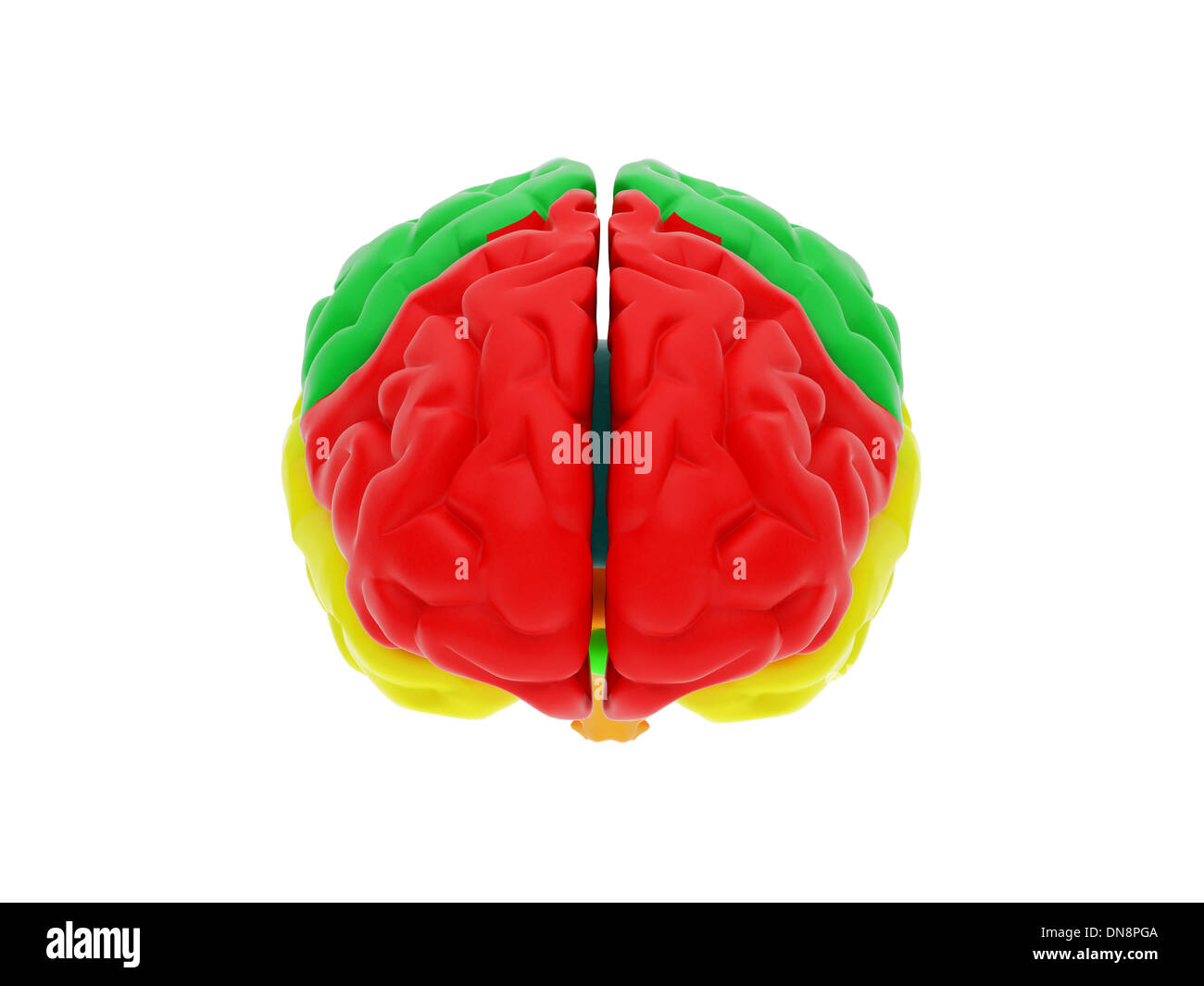 High resolution image. 3d rendered illustration. 3d human brain Stock ...