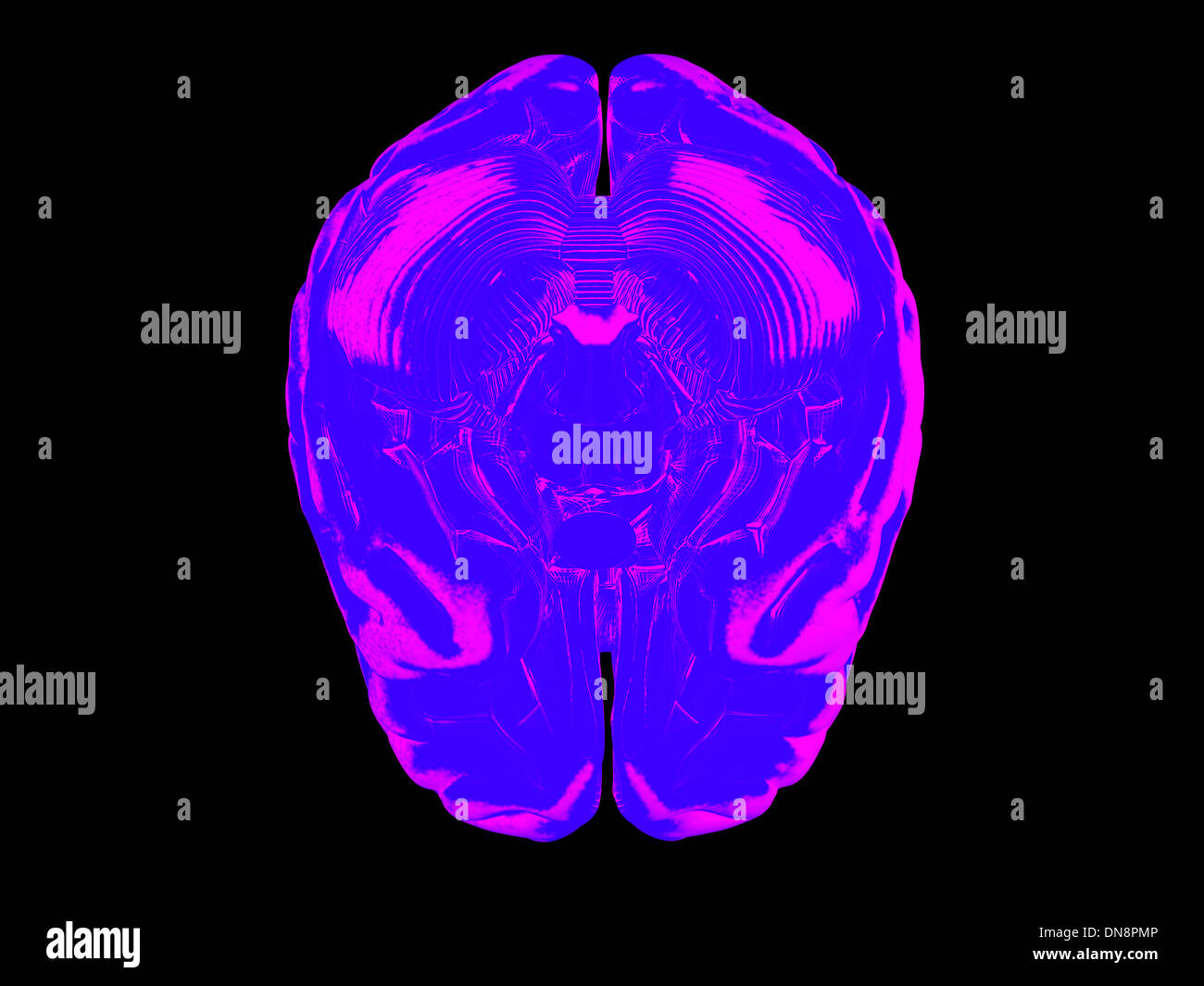 High resolution image. 3d rendered illustration. 3d human brain Stock ...