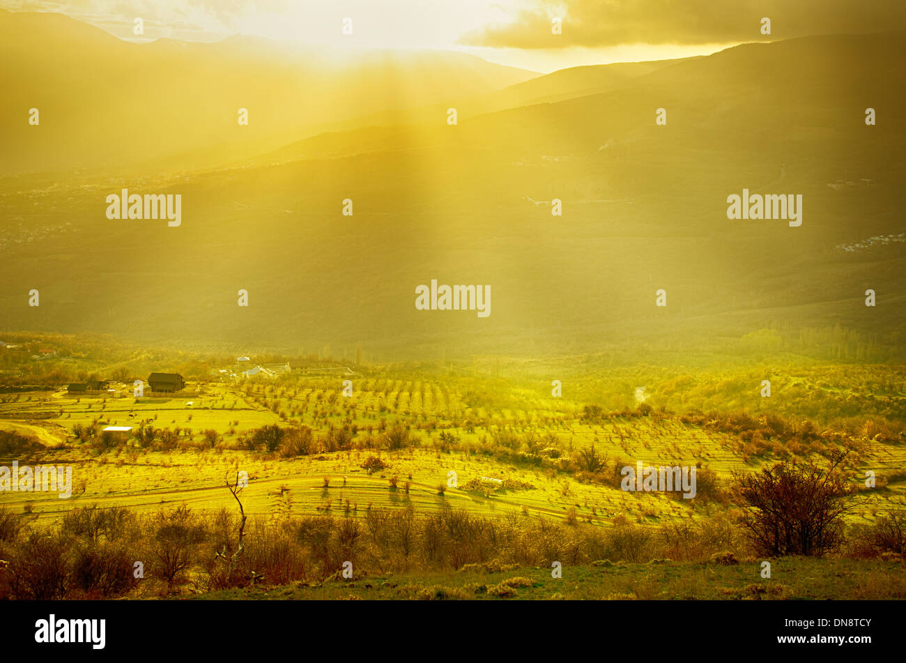 Rural landscape with sun rays Stock Photo - Alamy