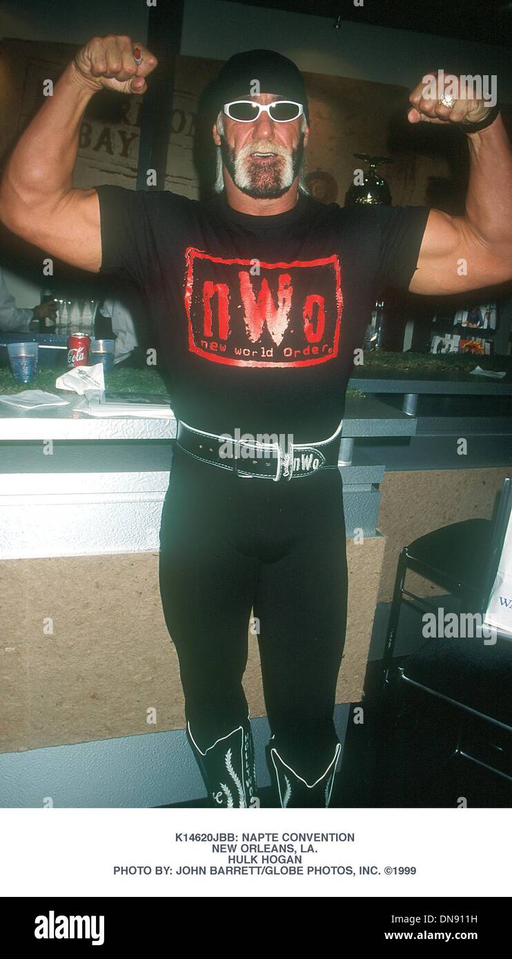 Hulk Hogan 2001