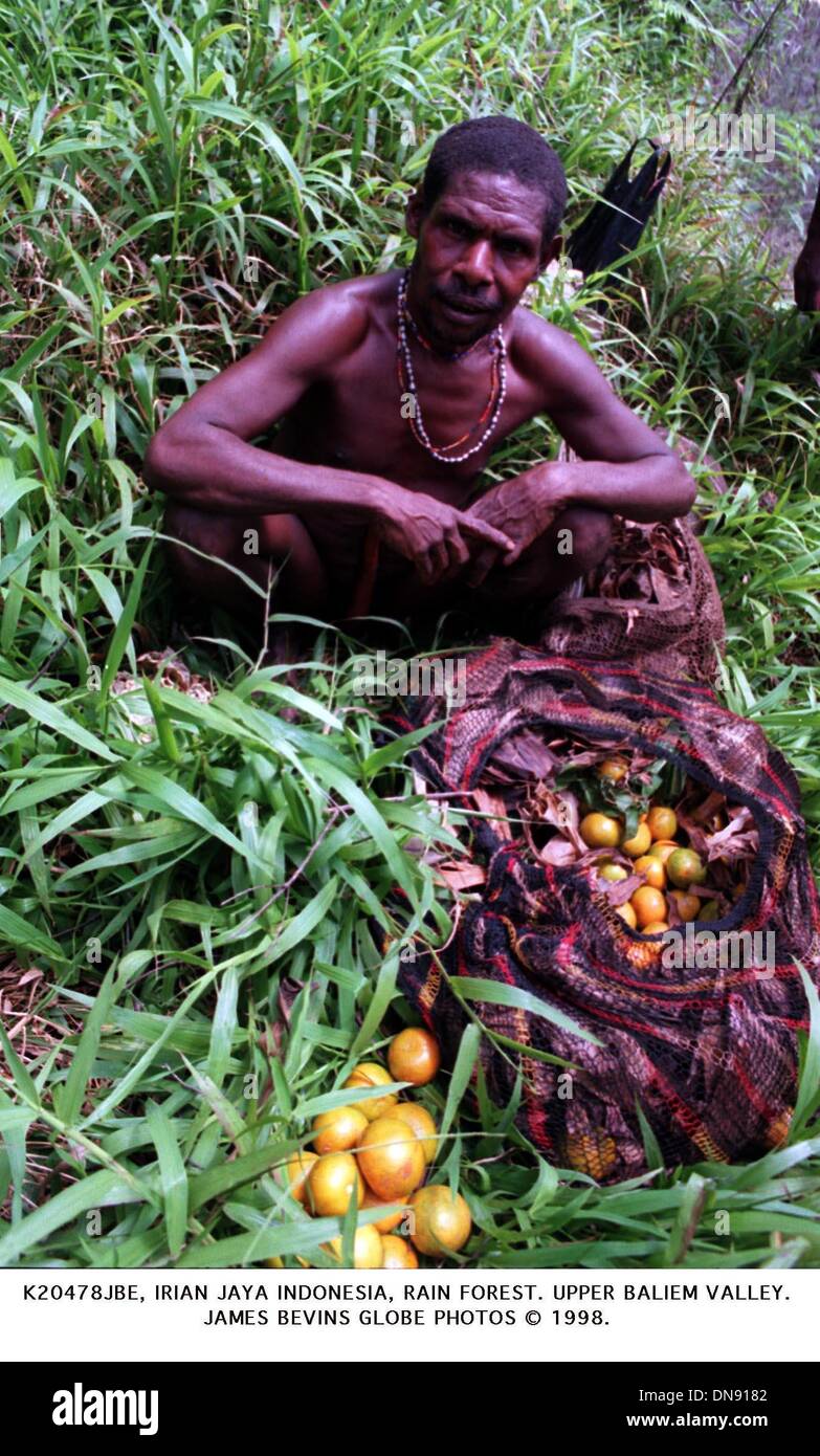 Mar. 30, 2001 - K20478JBE, IRIAN JAYA INDONESIA, RAIN FOREST. UPPER ...