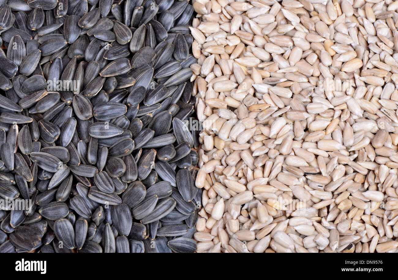 Sunflower seeds texture as background Stock Photo - Alamy