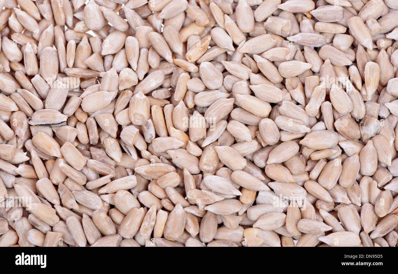 Sunflower seeds texture as background Stock Photo - Alamy