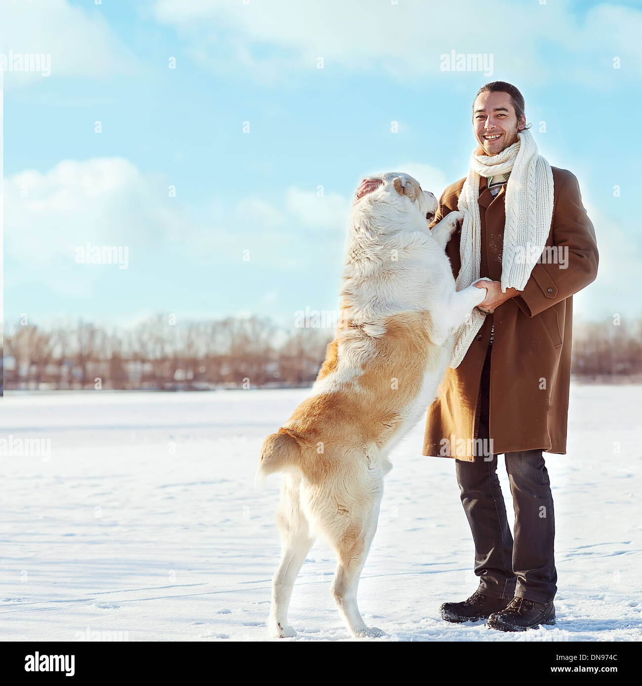 Asian family pets walk hi-res stock photography and images - Alamy