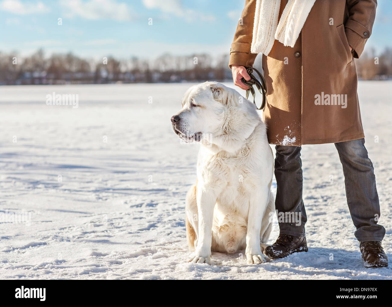 Asian family pets walk hi-res stock photography and images - Alamy