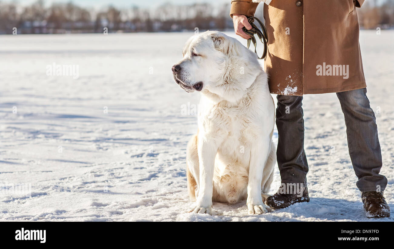Asian family pets walk hi-res stock photography and images - Alamy