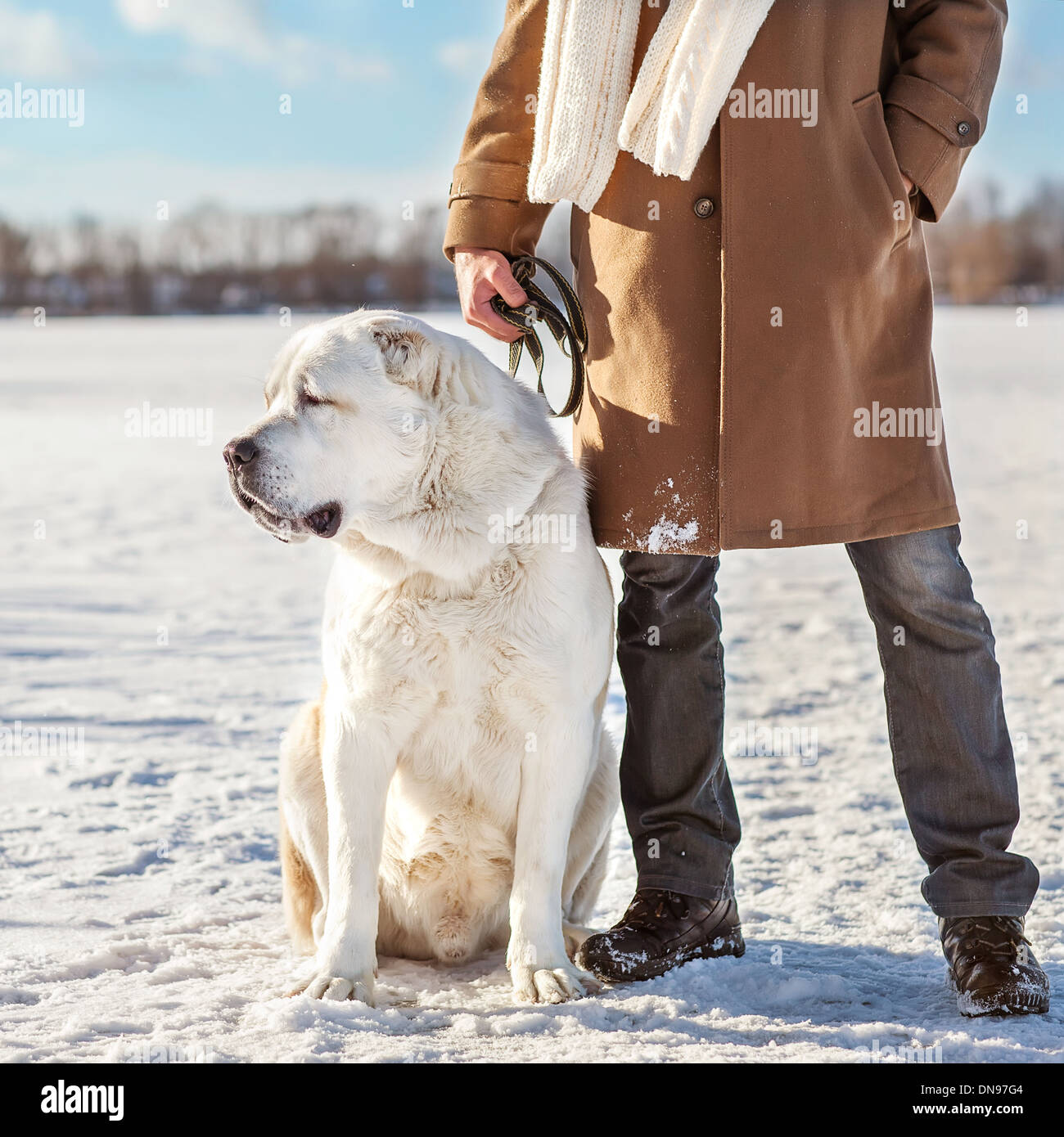 Asian family pets walk hi-res stock photography and images - Alamy