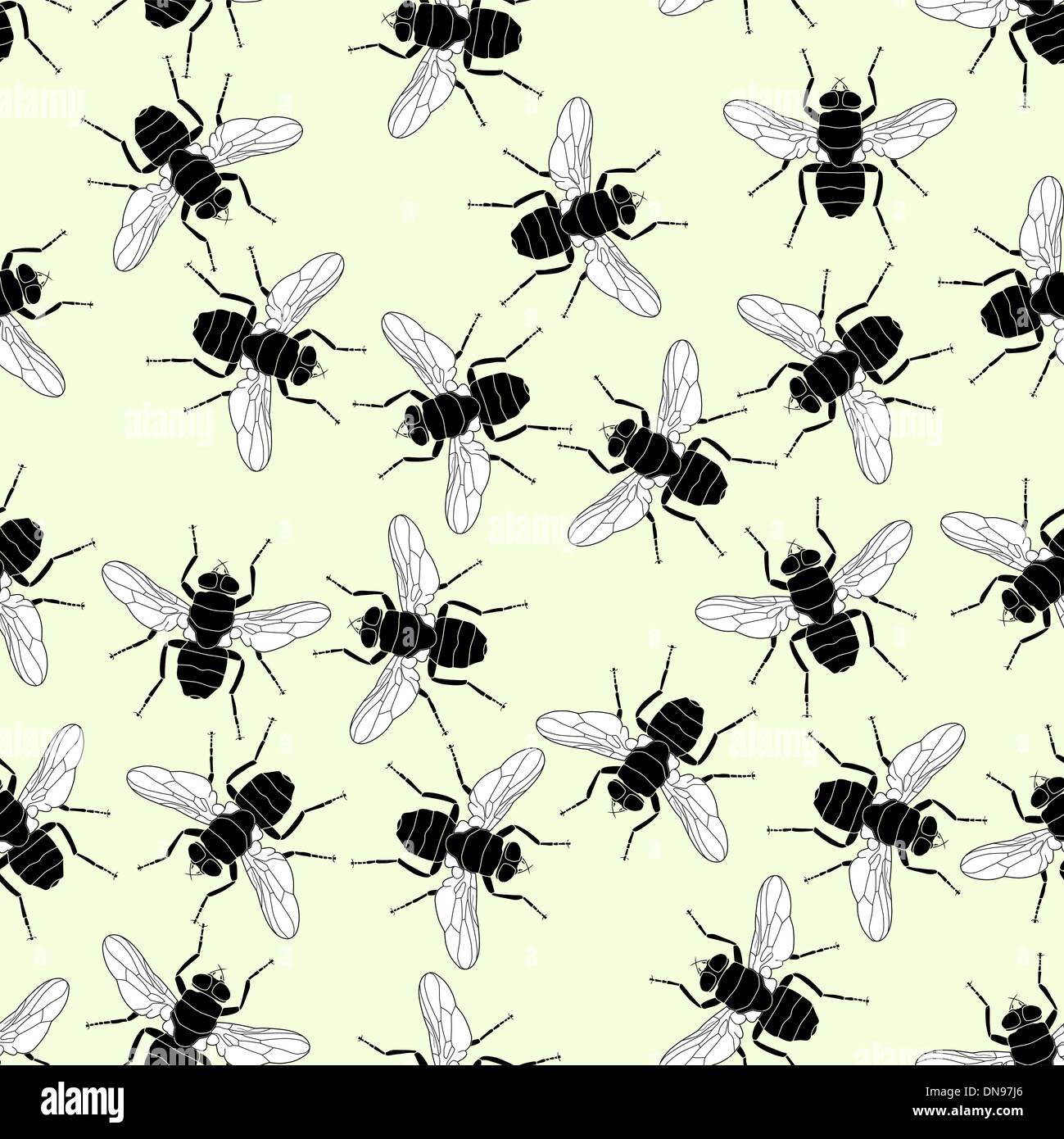 Flies vector vectors hi-res stock photography and images - Alamy