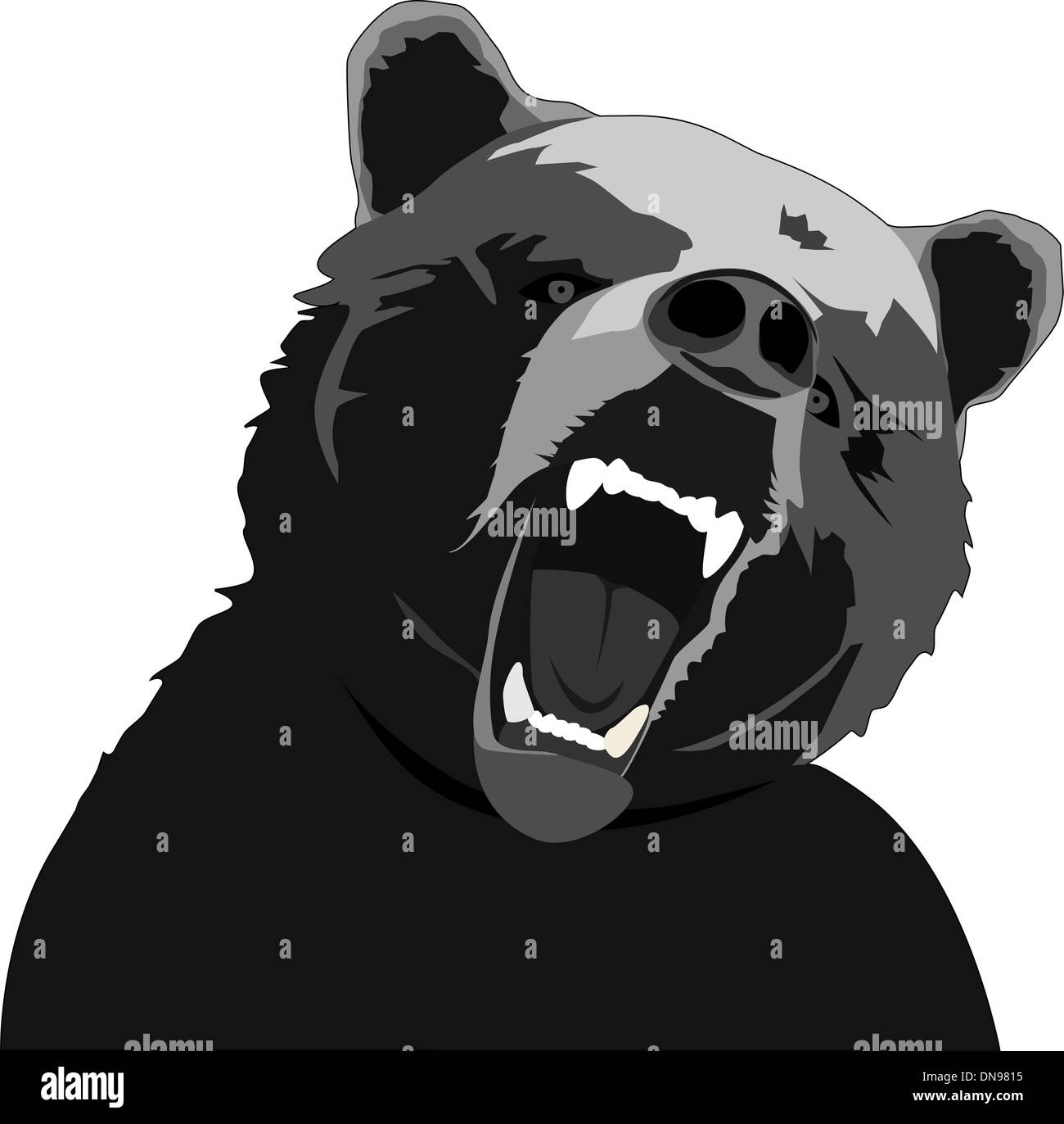 Angry bear illustration Stock Vector Images - Alamy