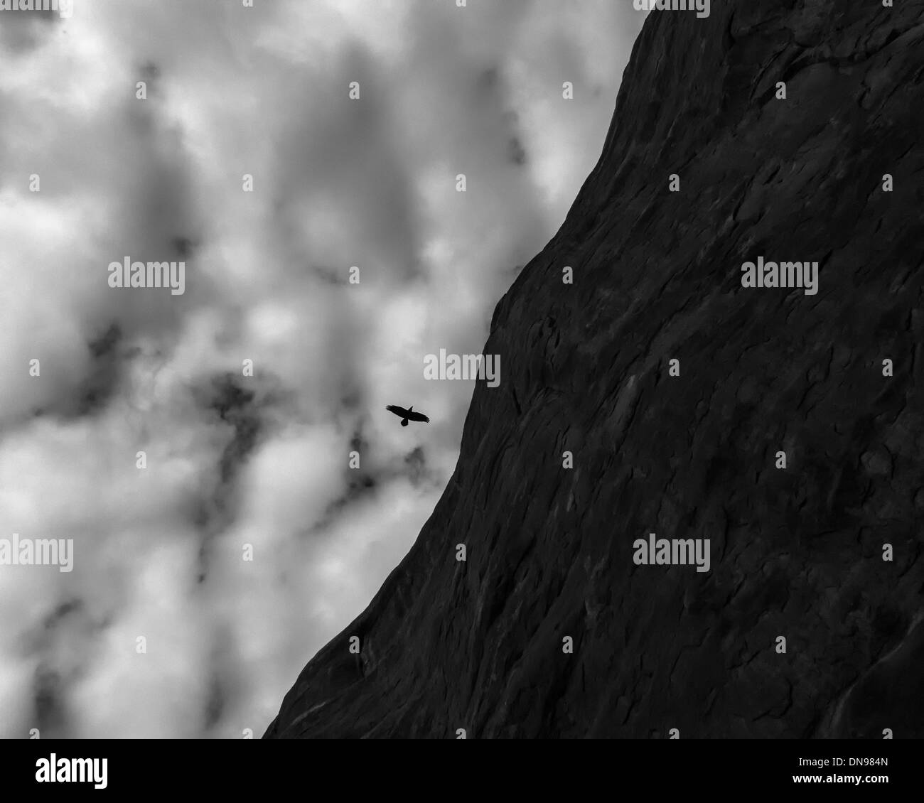 Park and editorial use Black and White Stock Photos & Images - Alamy