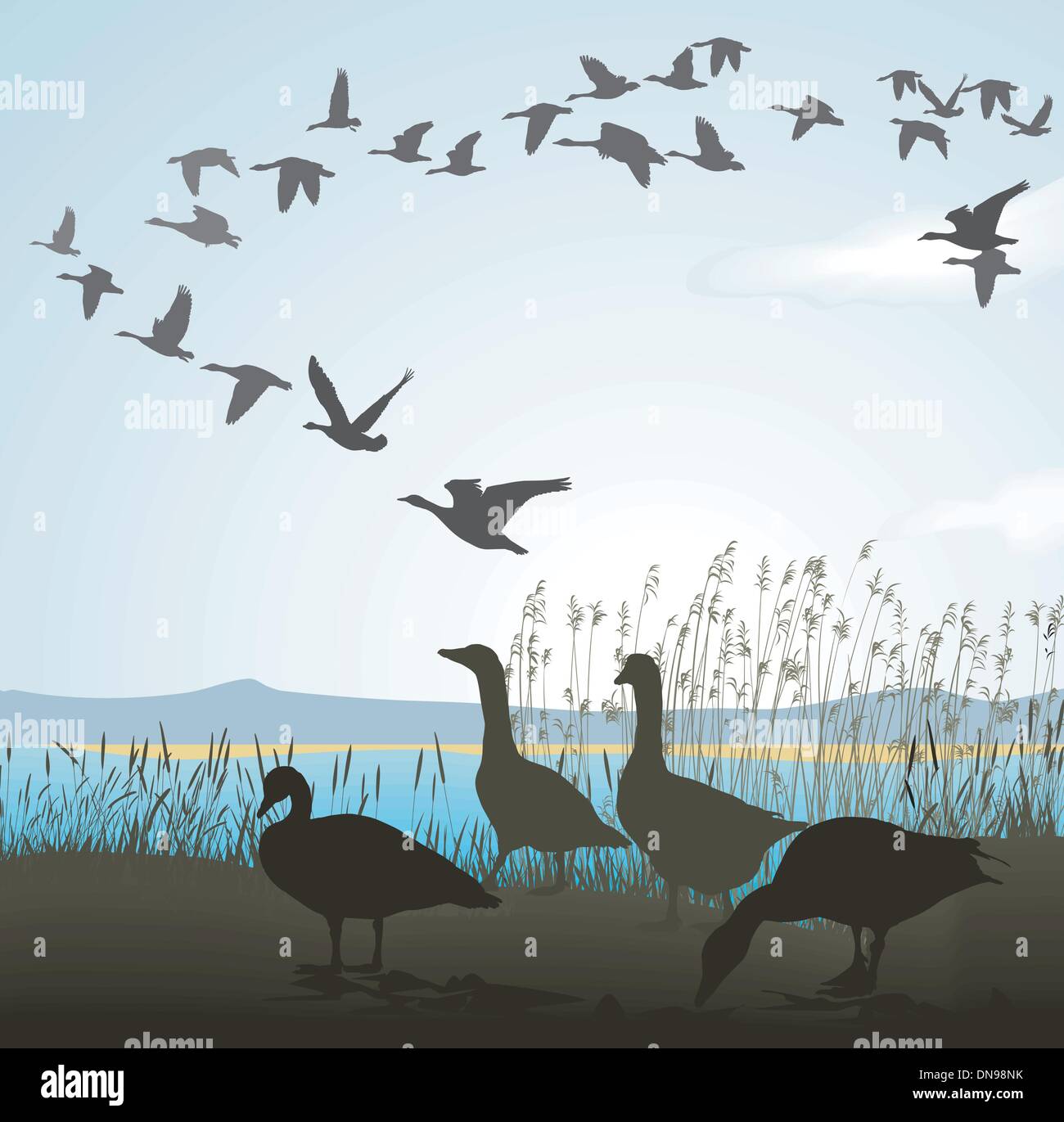 Flock Of Geese Clipart