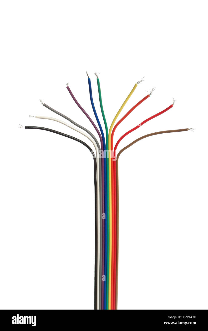 electric cable on white background Stock Photo - Alamy