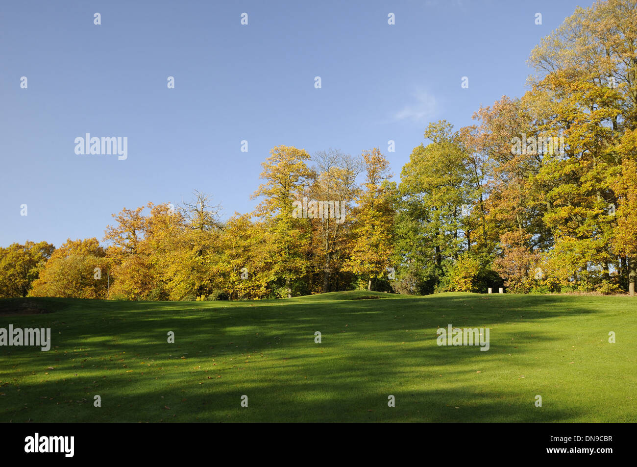 Sundridge Park Golf Club - View up from Fairway on 8th Hole on the West ...