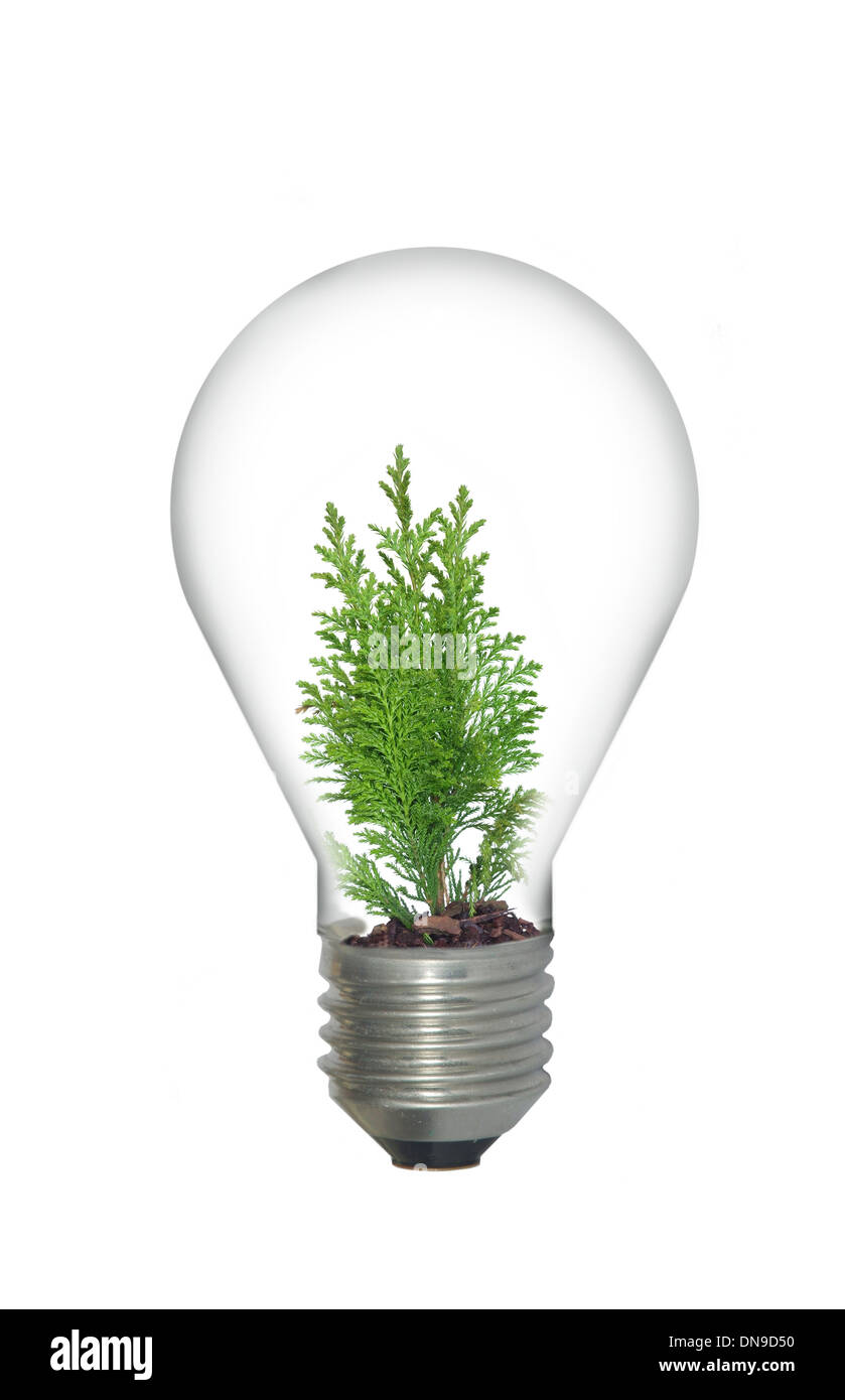 Screw bulb hi-res stock photography and images - Alamy